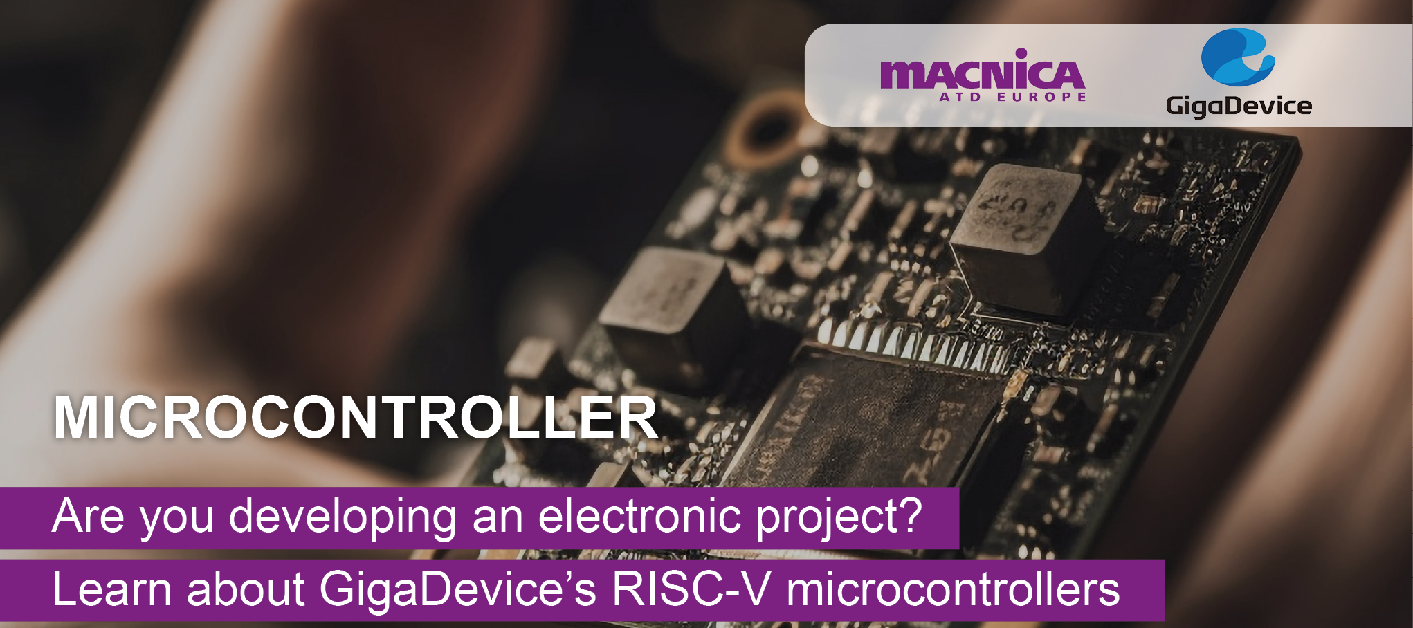 Discover The Ideal Risc V Microcontroller For Your Electronics Project Macnica Atd Europe